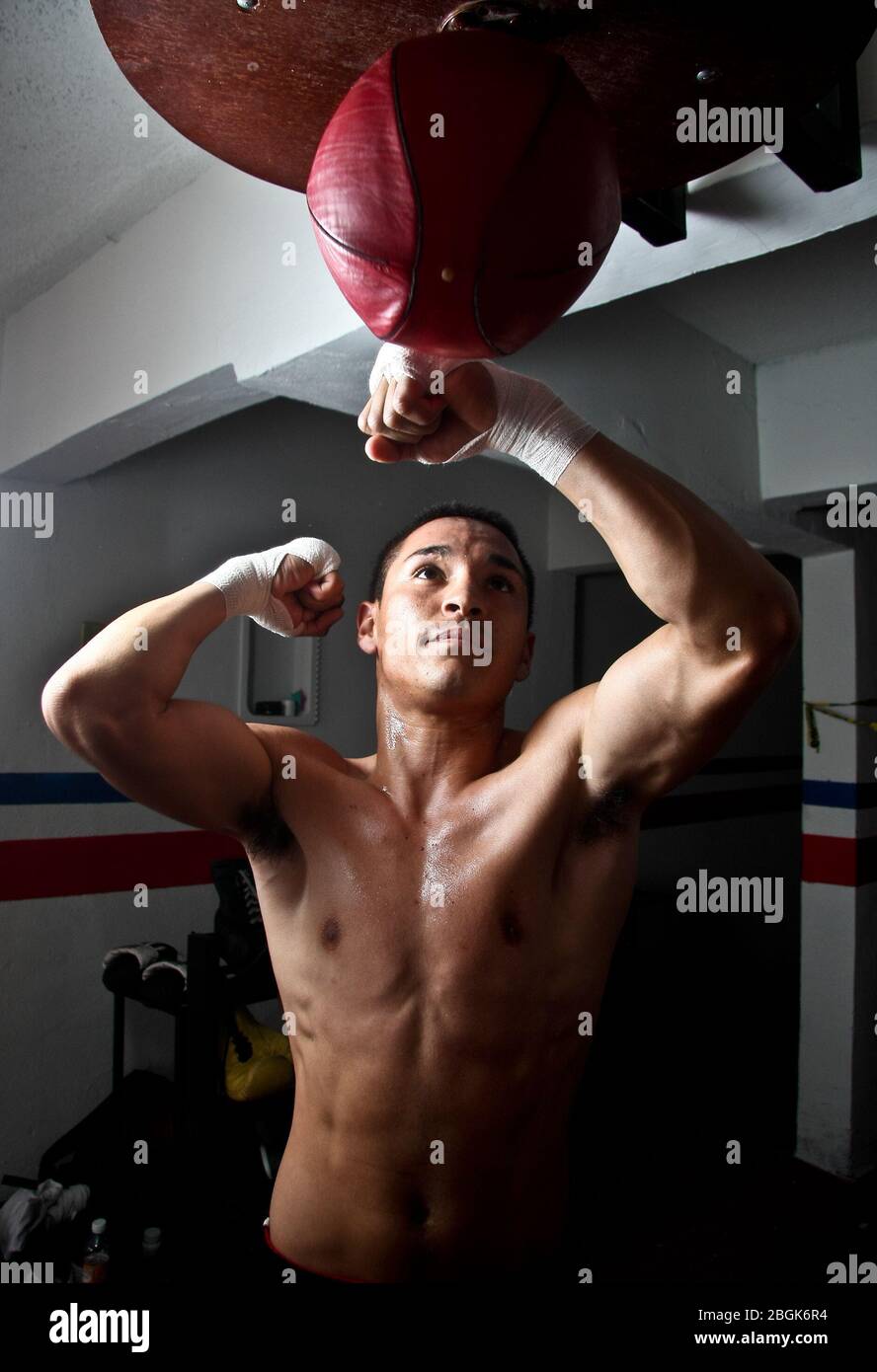 Juan Francisco Estrada. Mexican professional boxer, professional boxer ...