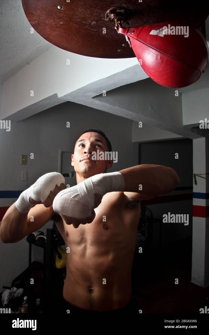 Juan Francisco Estrada. Mexican professional boxer, professional boxer ...
