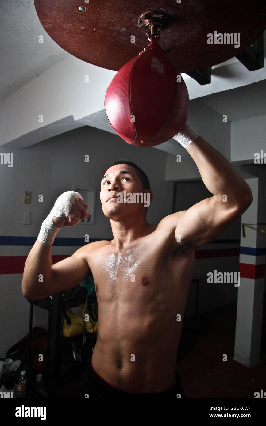 Juan Francisco Estrada. Mexican professional boxer, professional boxer ...