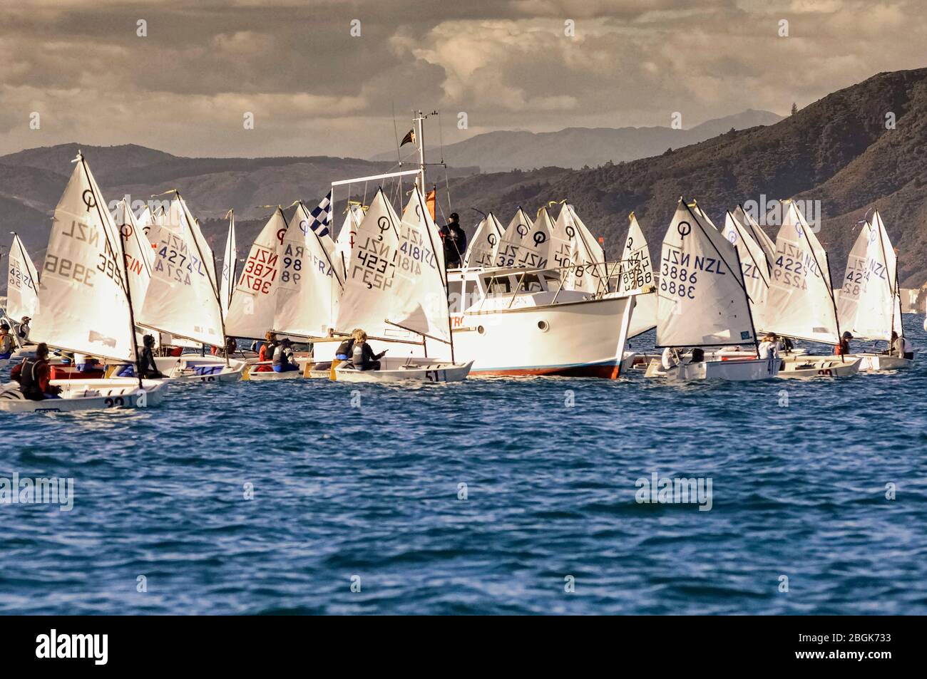New zealande hi-res stock photography and images - Alamy