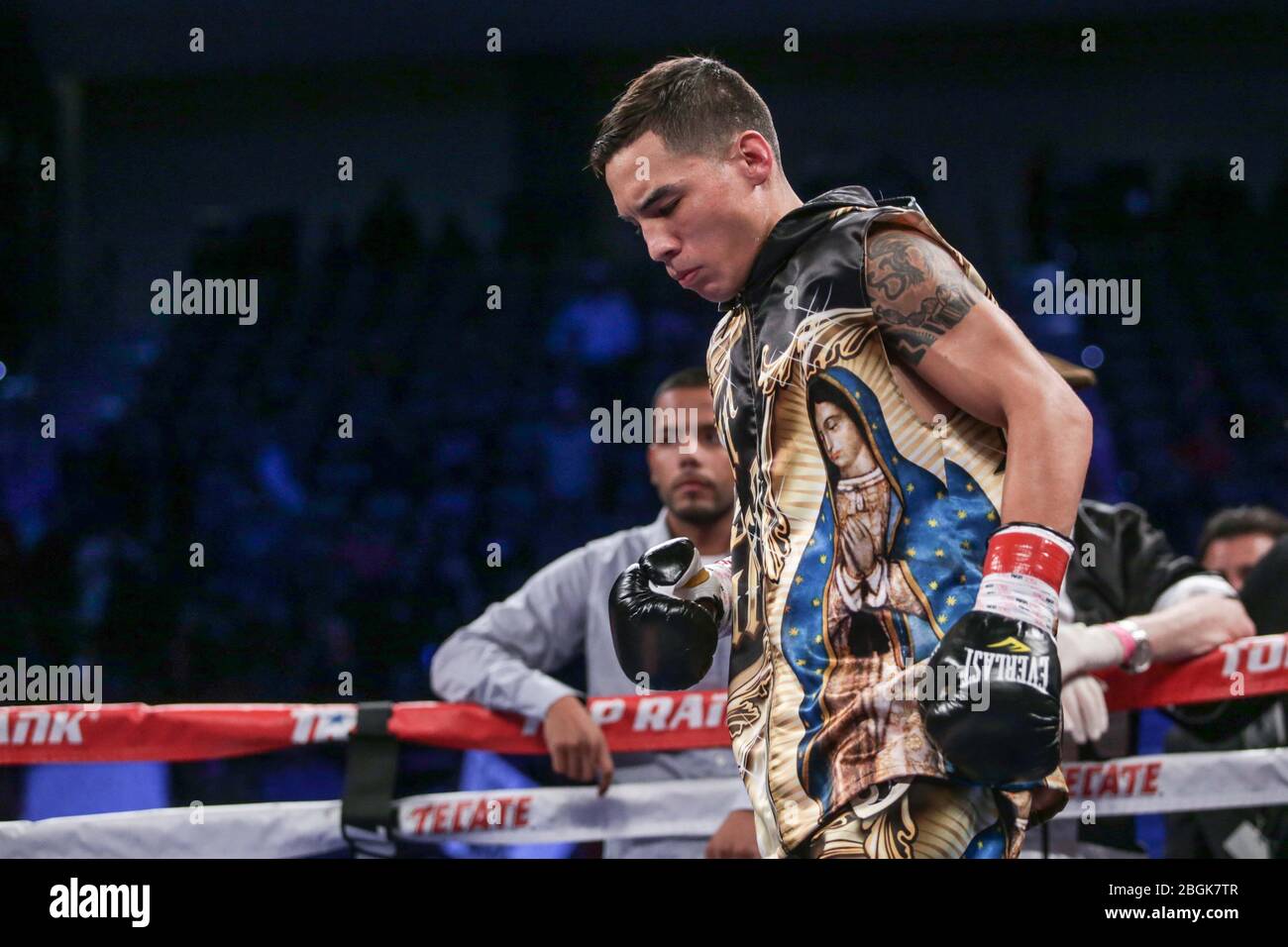 The Mexican boxer originally from Sonora Nogales, Oscar Valdez (gold ...