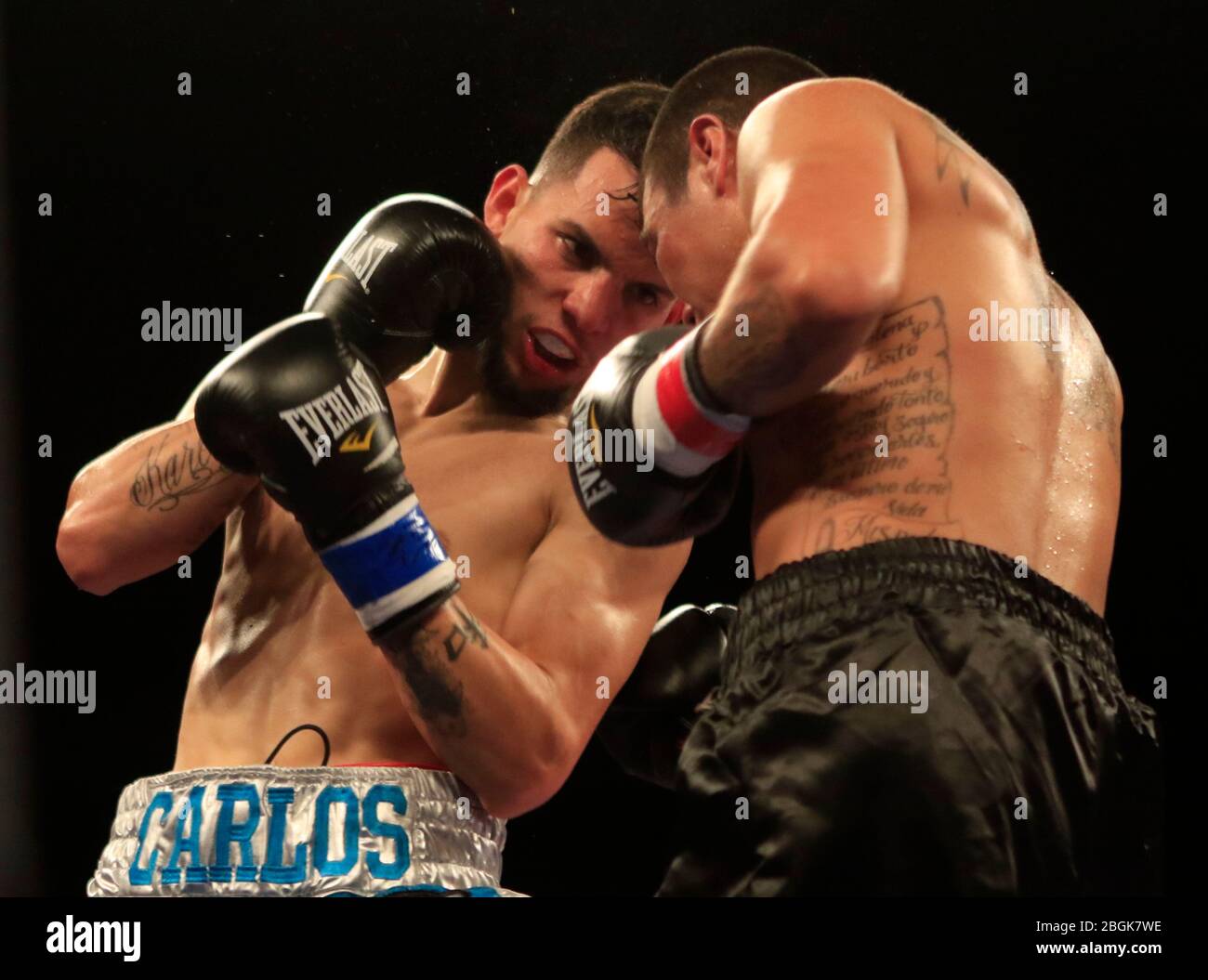 Carlos Castro (blue) Phoenix, won by knockout in three rounds to Sergio ...