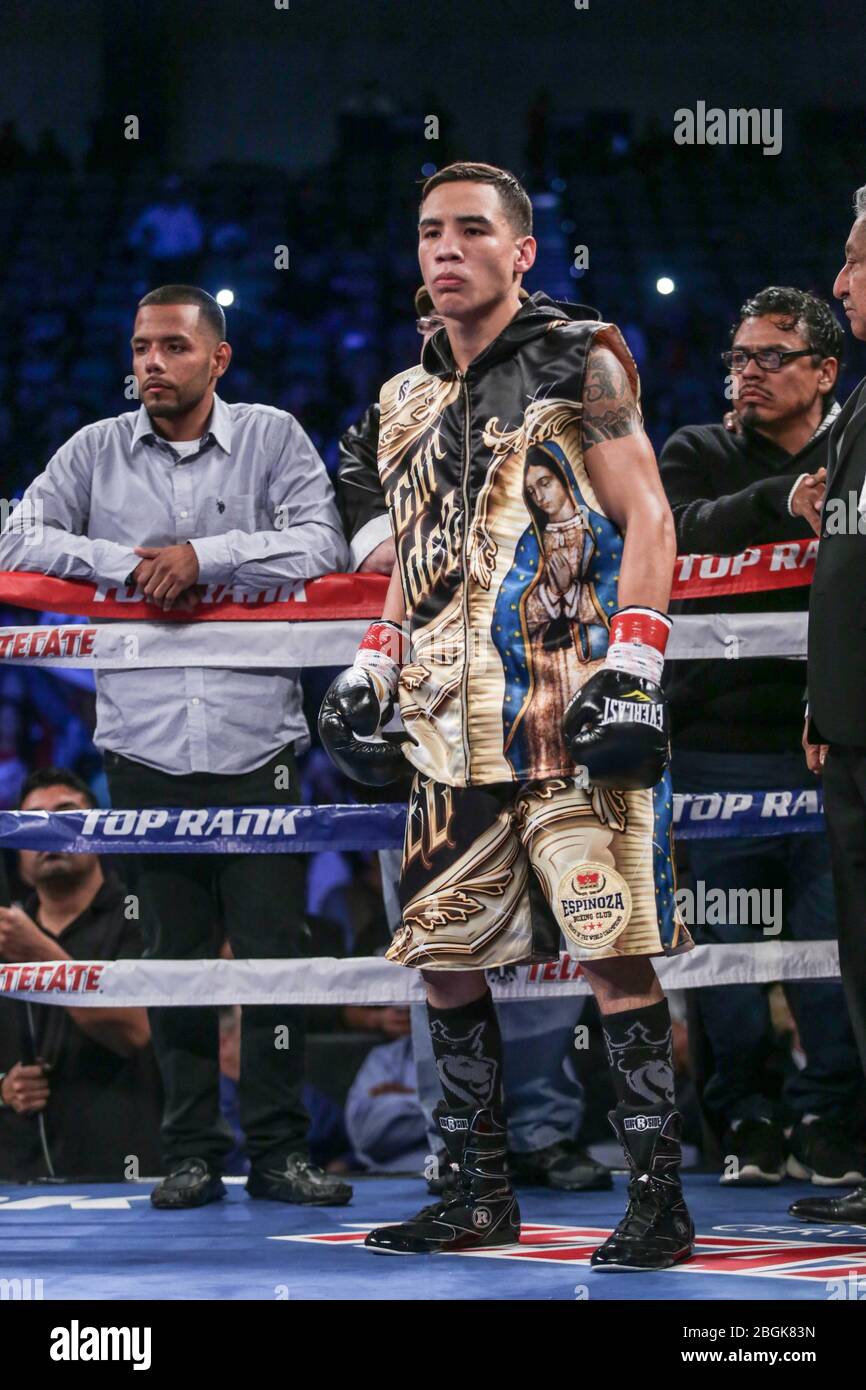 The Mexican boxer originally from Sonora Nogales, Oscar Valdez (gold ...
