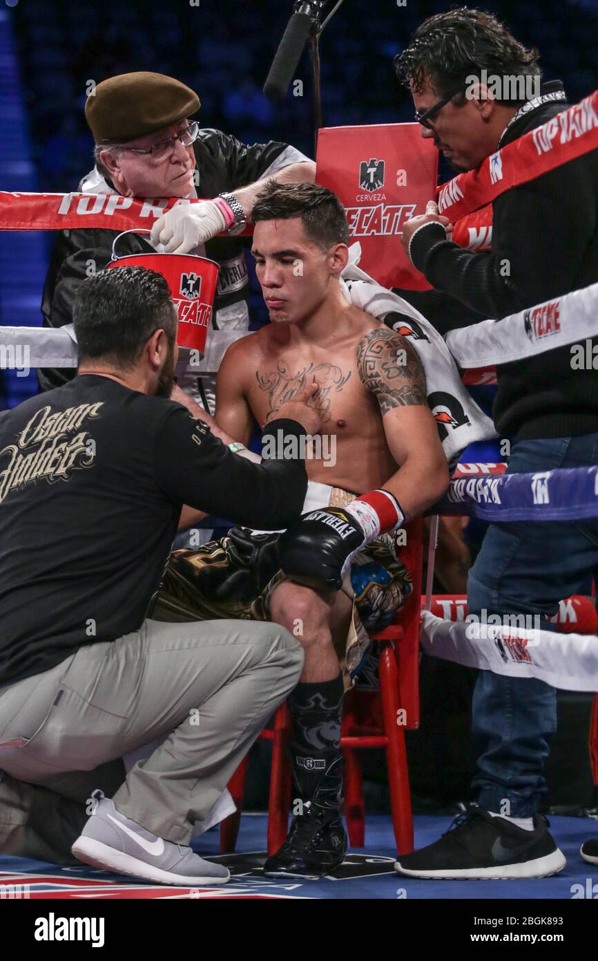 The Mexican boxer originally from Sonora Nogales, Oscar Valdez (gold ...