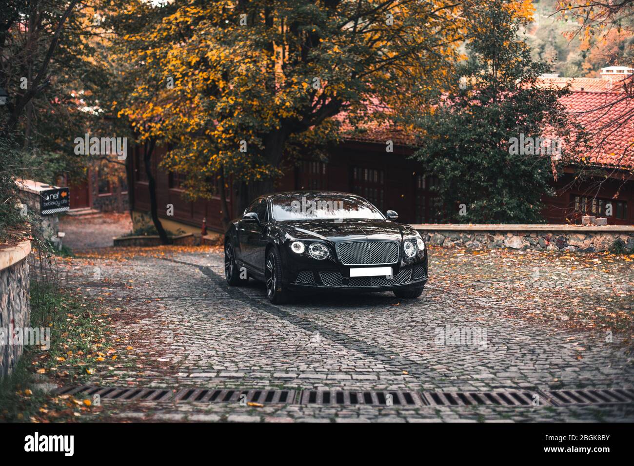 Black modern car in the autumn park Stock Photo - Alamy