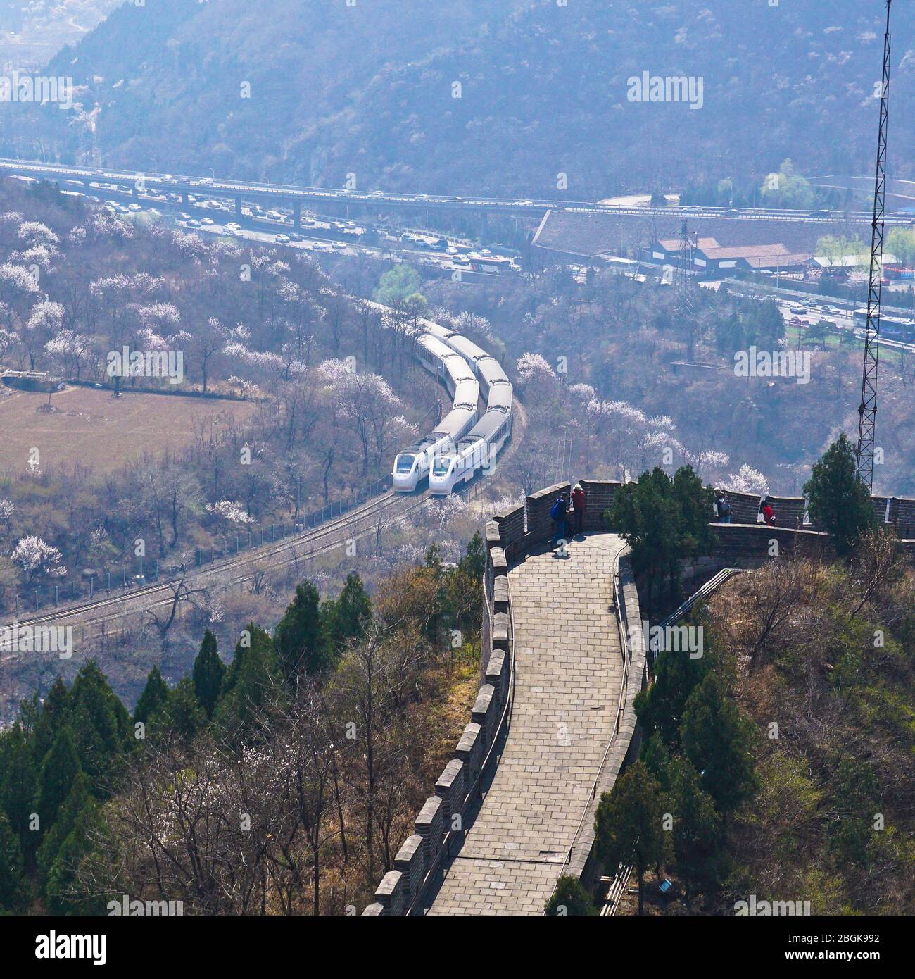 --FILE--An aerial view of two trains moving through blossoming flowers ...