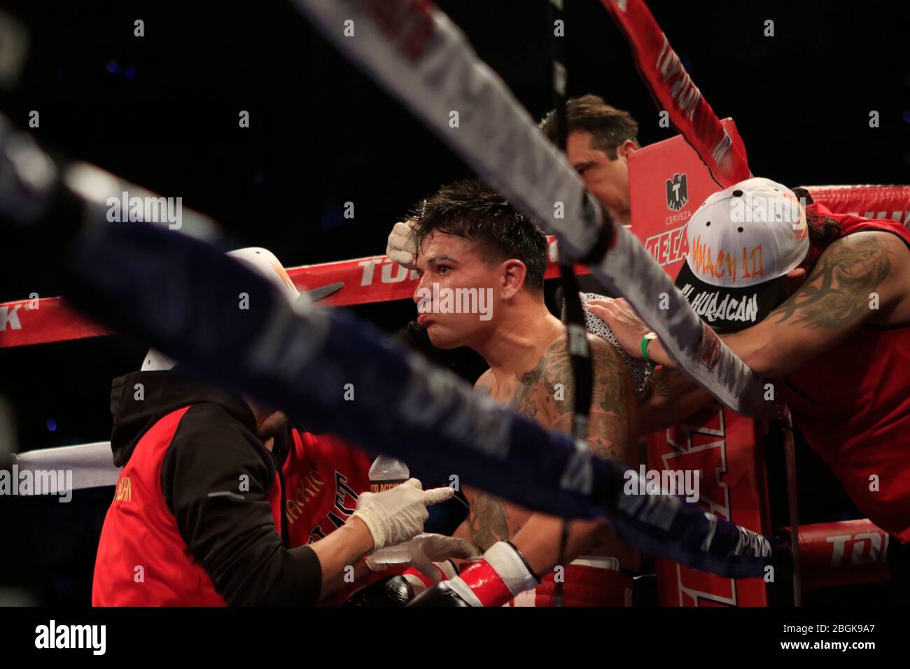 The Brazilian fighter Falcao Dodge (green) won by knockout Mexican boxer Hector Munoz, on the ...