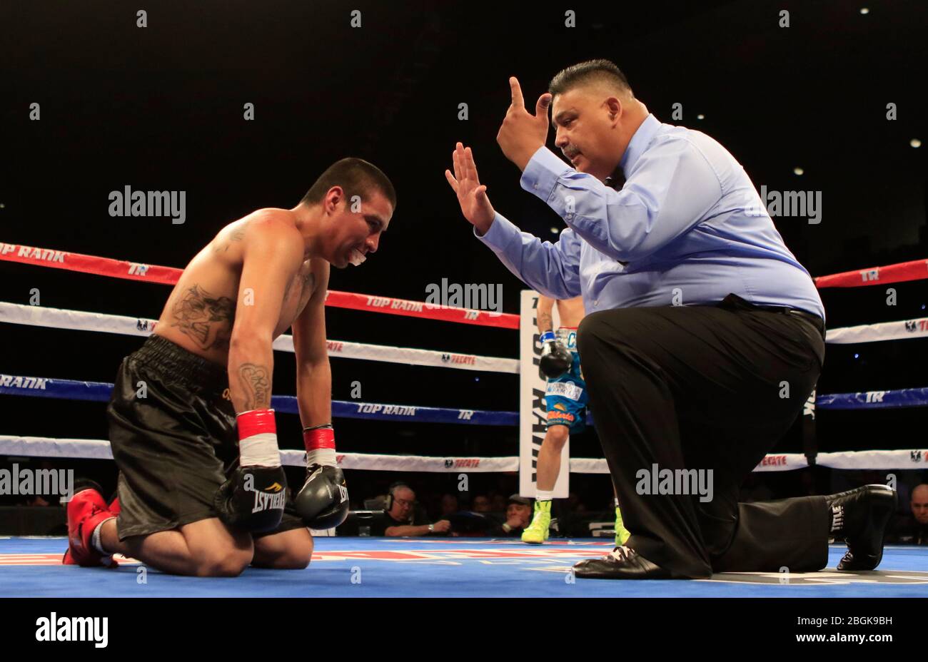 Carlos Castro (blue) Phoenix, won by knockout in three rounds to Sergio ...