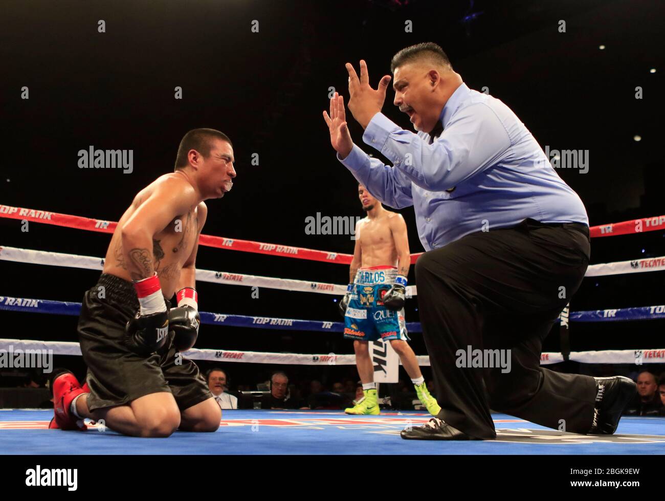 Carlos Castro (blue) Phoenix, won by knockout in three rounds to Sergio ...