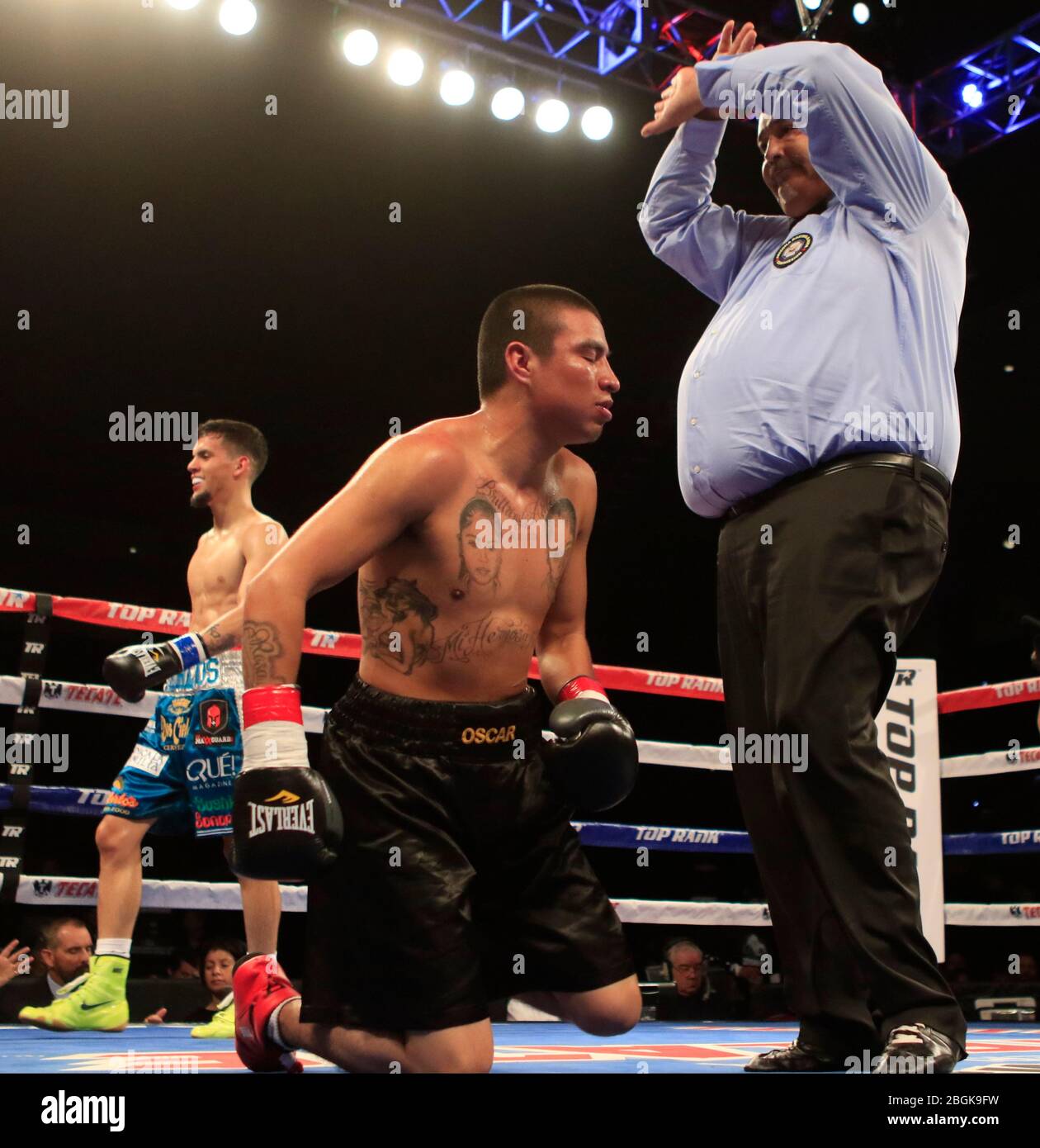 Carlos Castro (blue) Phoenix, won by knockout in three rounds to Sergio ...