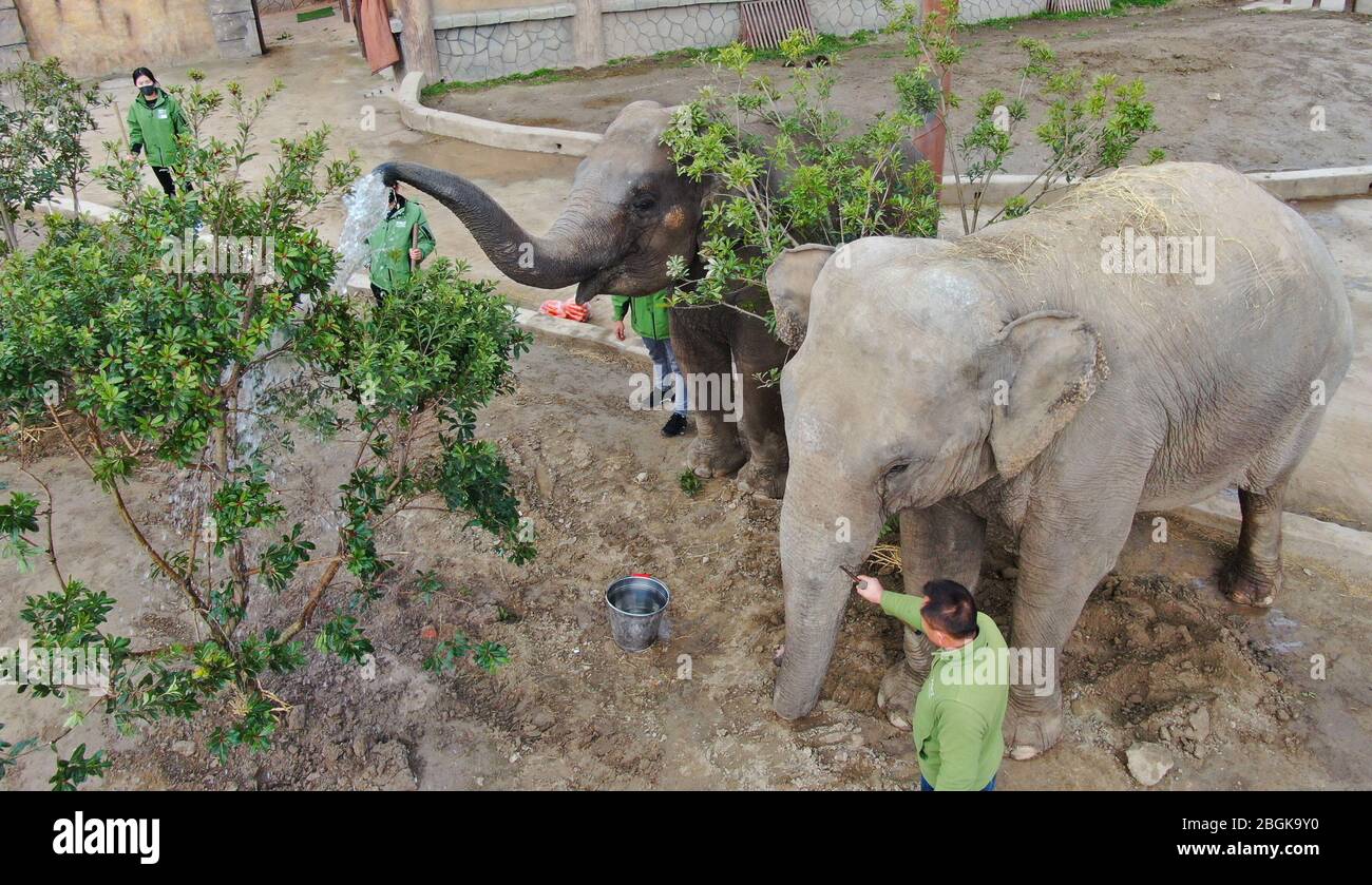Zoo staff hi-res stock photography and images - Alamy
