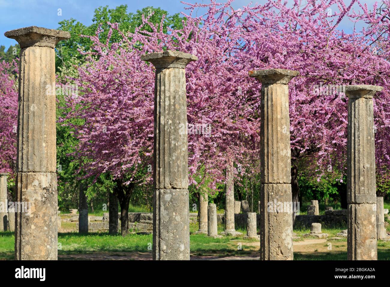 Olympia palaestra hi-res stock photography and images - Alamy