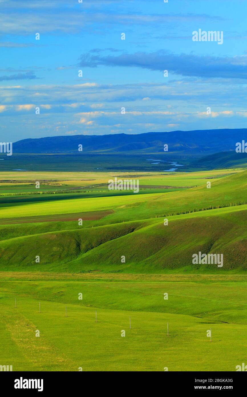 --File--View of the green grassland of Hulunbuir Prairie in Hulunbuir ...