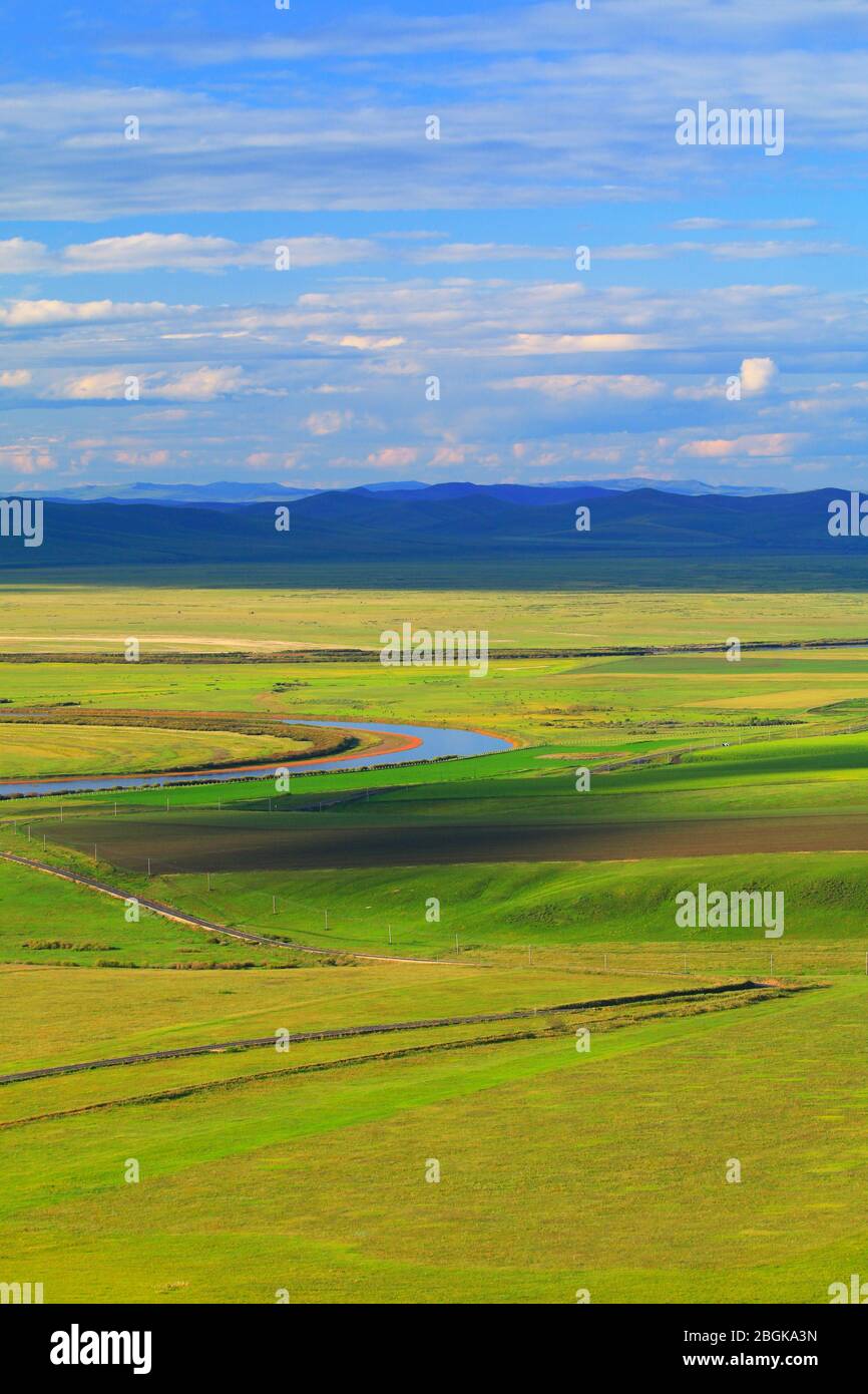Mongolia grassland hi-res stock photography and images - Alamy