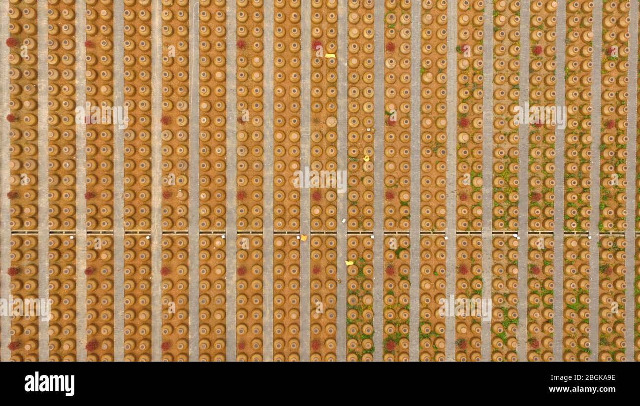 Soy sauce factory hi-res stock photography and images - Alamy
