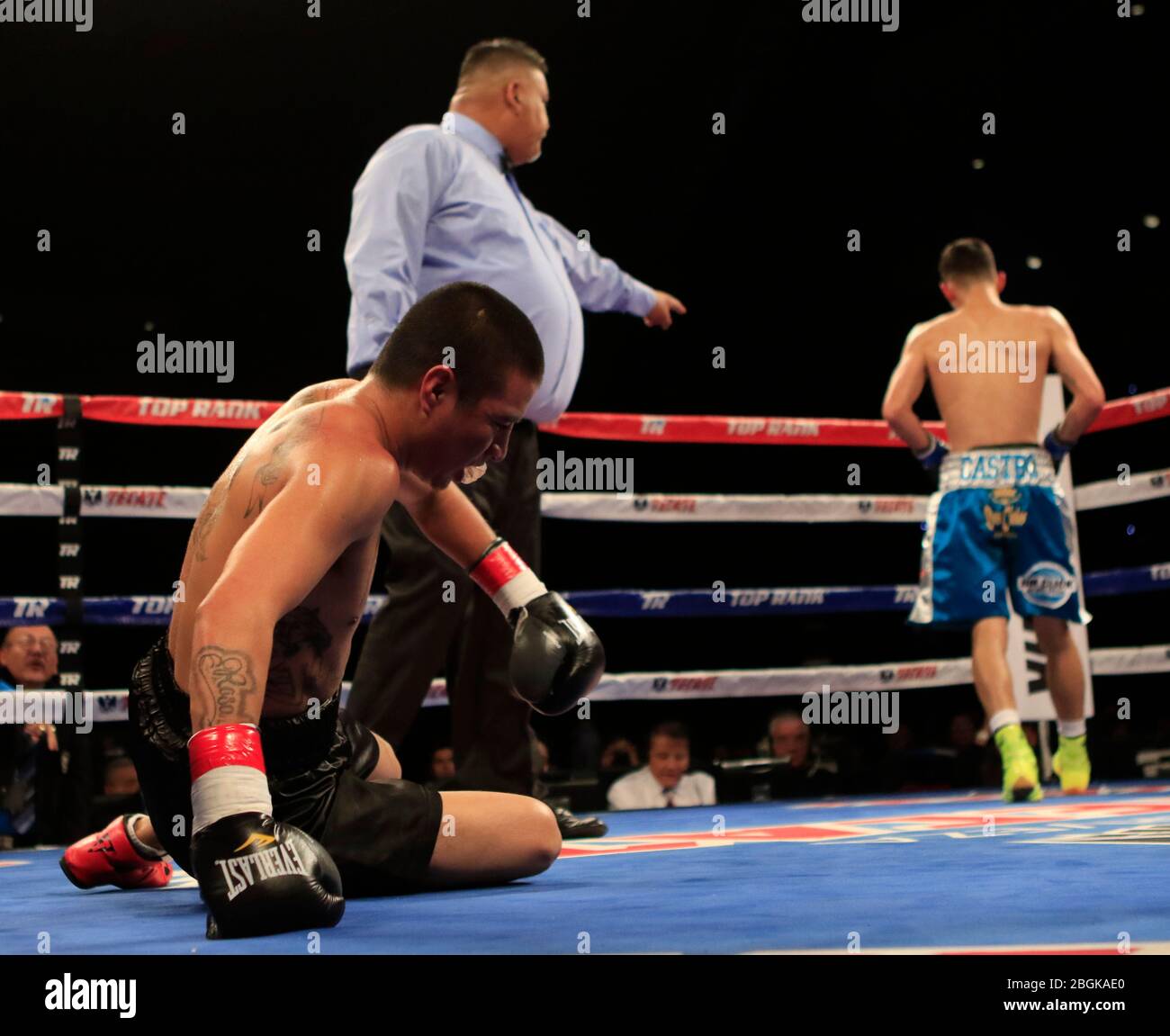 Carlos Castro (blue) Phoenix, won by knockout in three rounds to Sergio ...