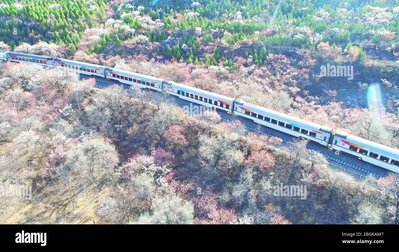 S2 section hi-res stock photography and images - Alamy
