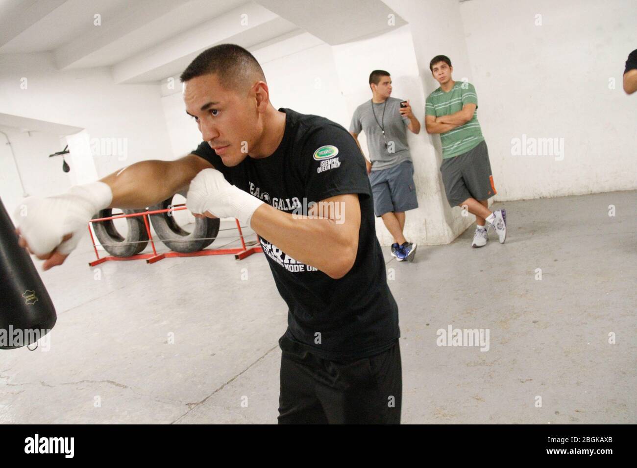 Juan Francisco Estrada. Mexican professional boxer, professional boxer ...