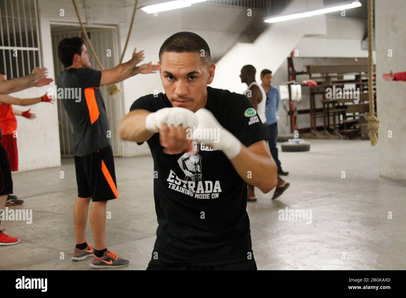 Juan Francisco Estrada. Mexican professional boxer, professional boxer ...