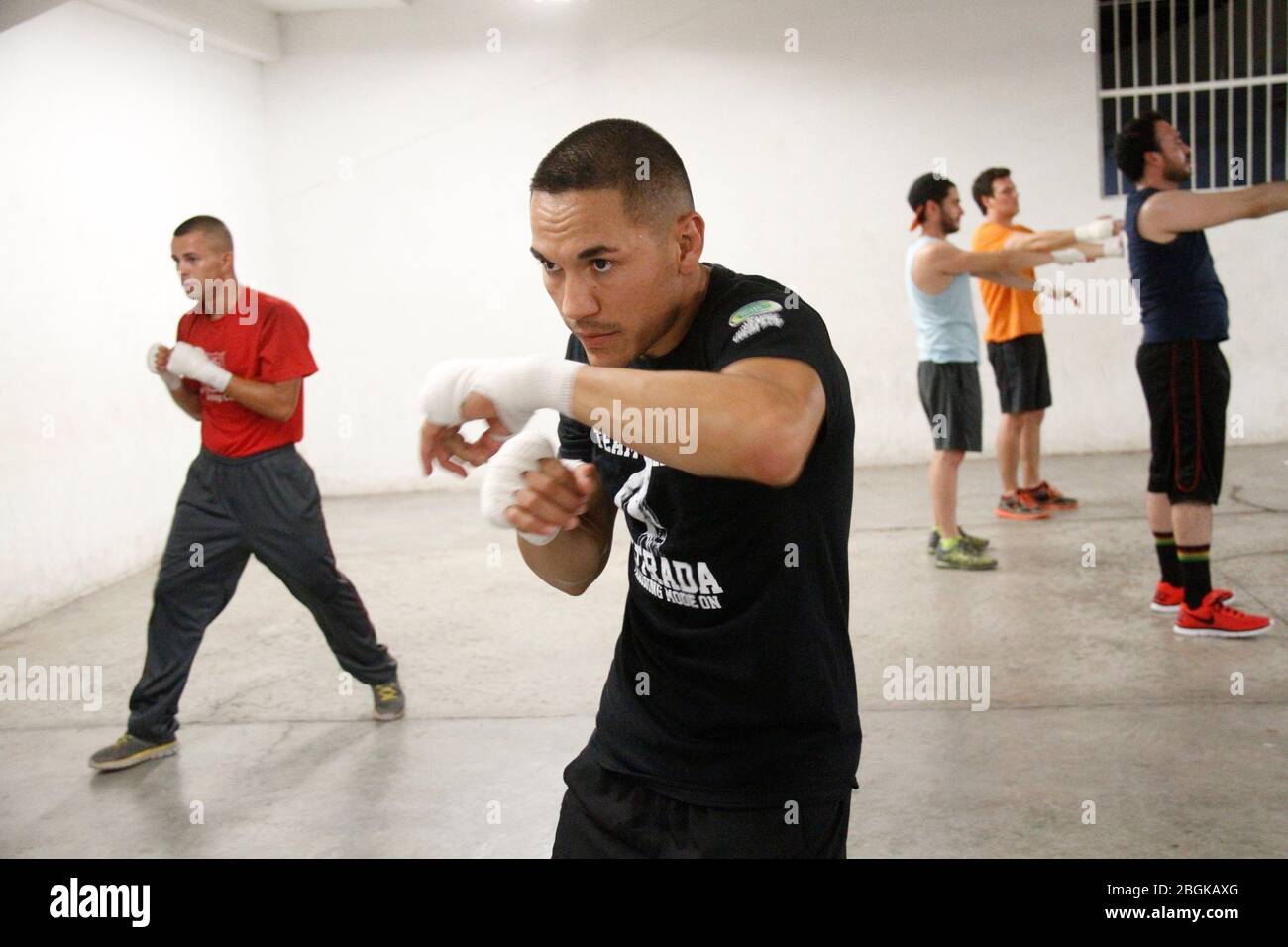 Juan Francisco Estrada. Mexican professional boxer, professional boxer ...