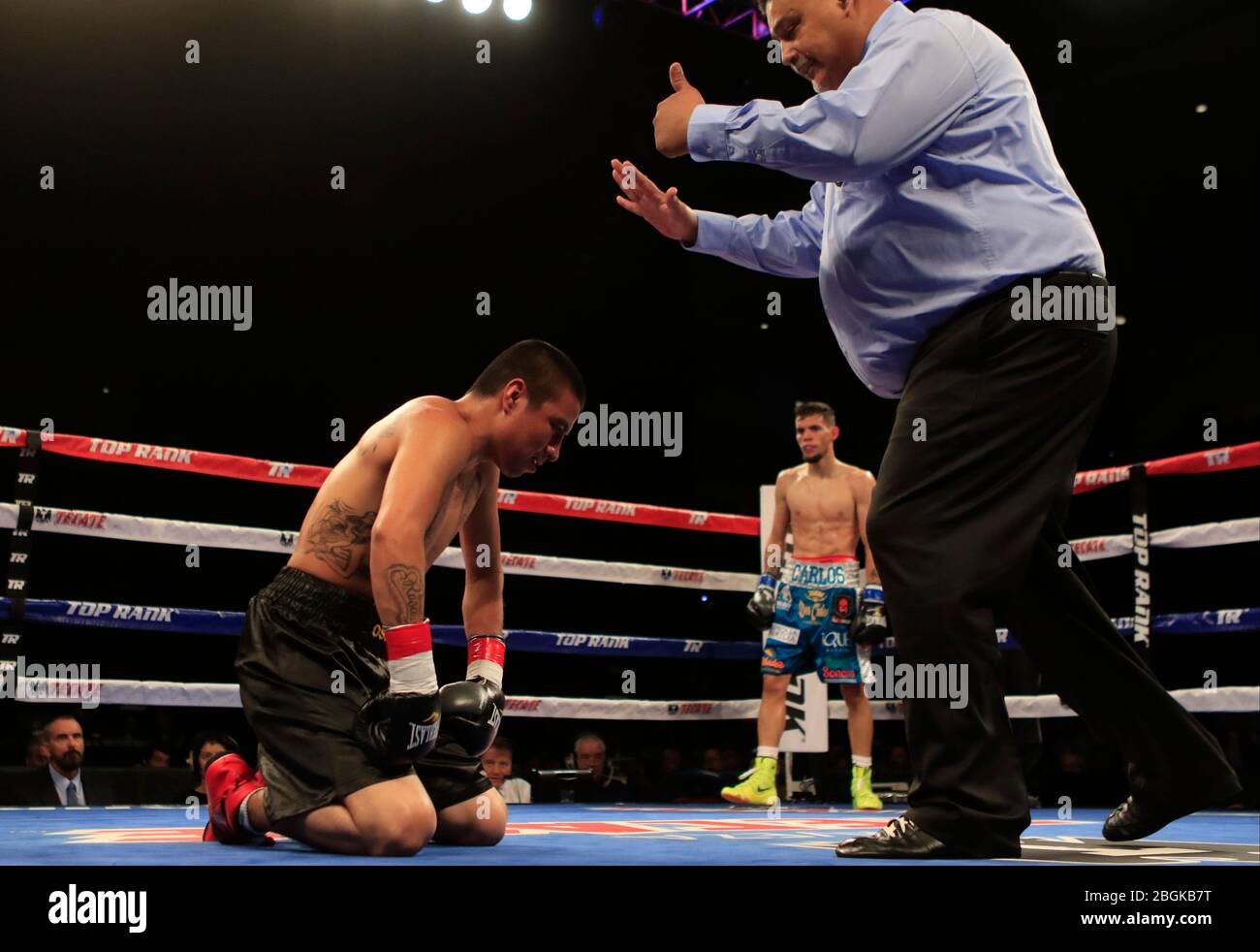 Carlos Castro (blue) Phoenix, won by knockout in three rounds to Sergio ...