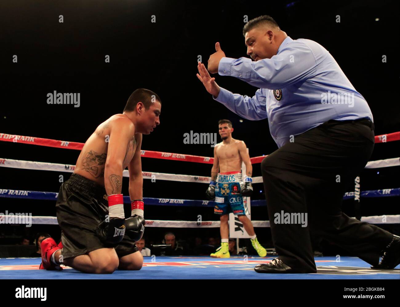 Carlos Castro (blue) Phoenix, won by knockout in three rounds to Sergio ...