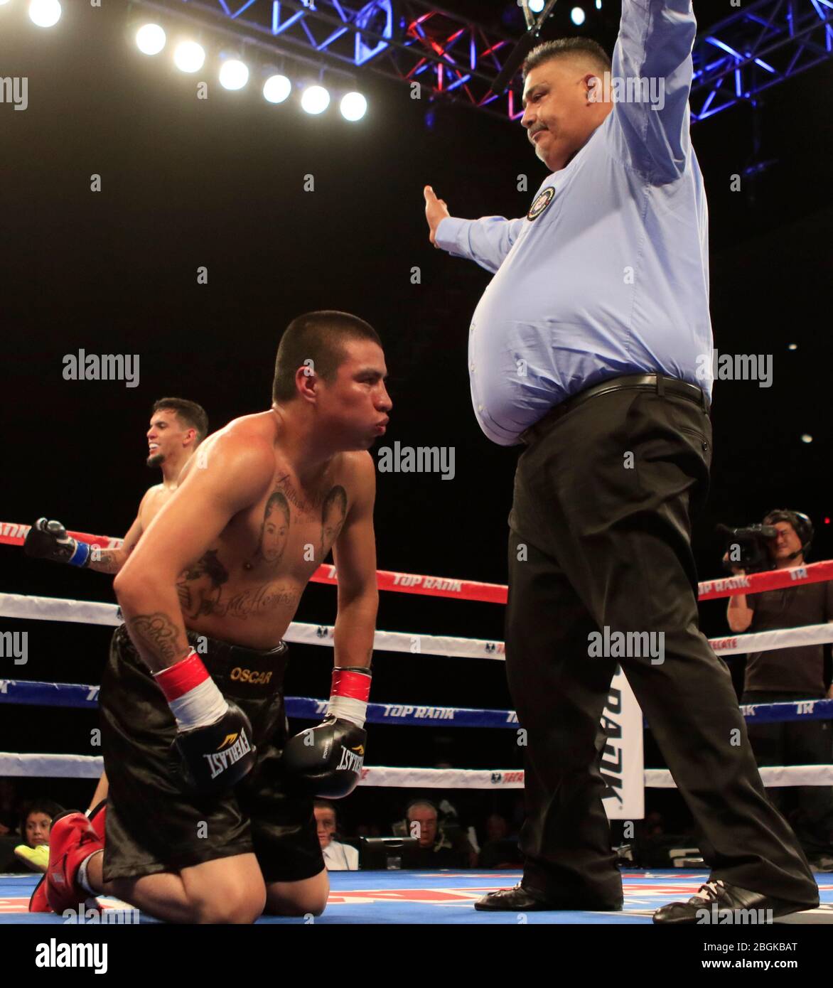 Carlos Castro (blue) Phoenix, won by knockout in three rounds to Sergio ...