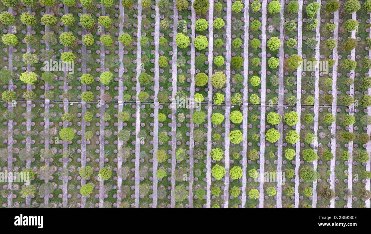 An aerial view of ceramic jars containing soy sauce and vinegar at the ...
