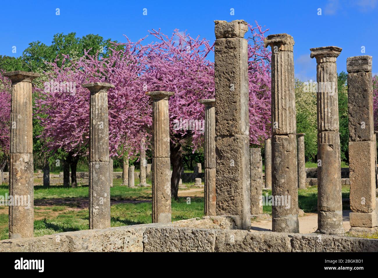 The Palaestra, Ancient Olympia, Peloponnese, Greece, Europe Stock Photo ...