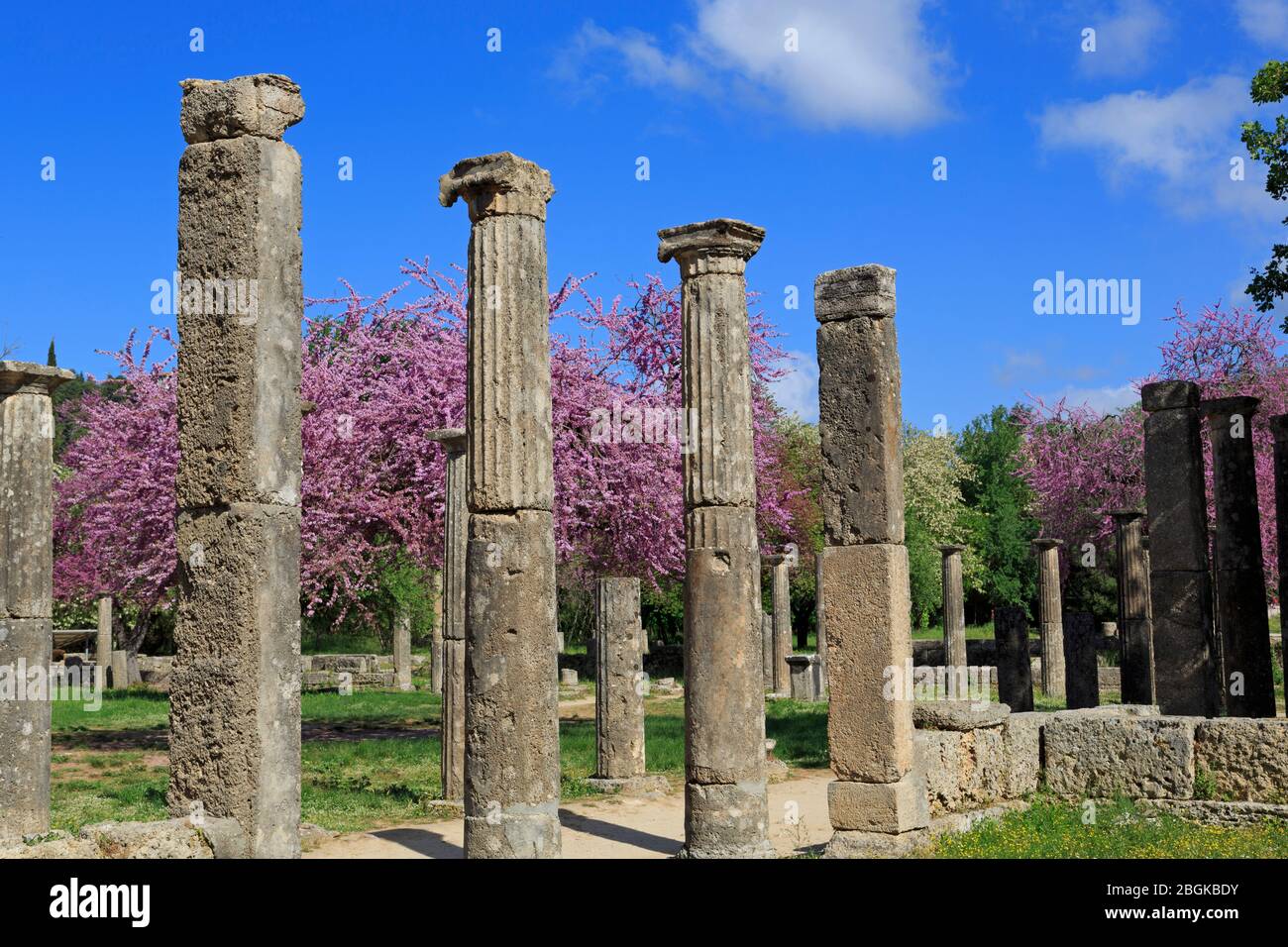The Palaestra, Ancient Olympia, Peloponnese, Greece, Europe Stock Photo ...