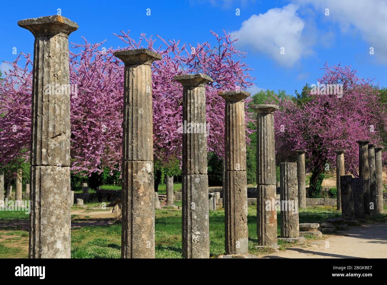 The Palaestra, Ancient Olympia, Peloponnese, Greece, Europe Stock Photo ...