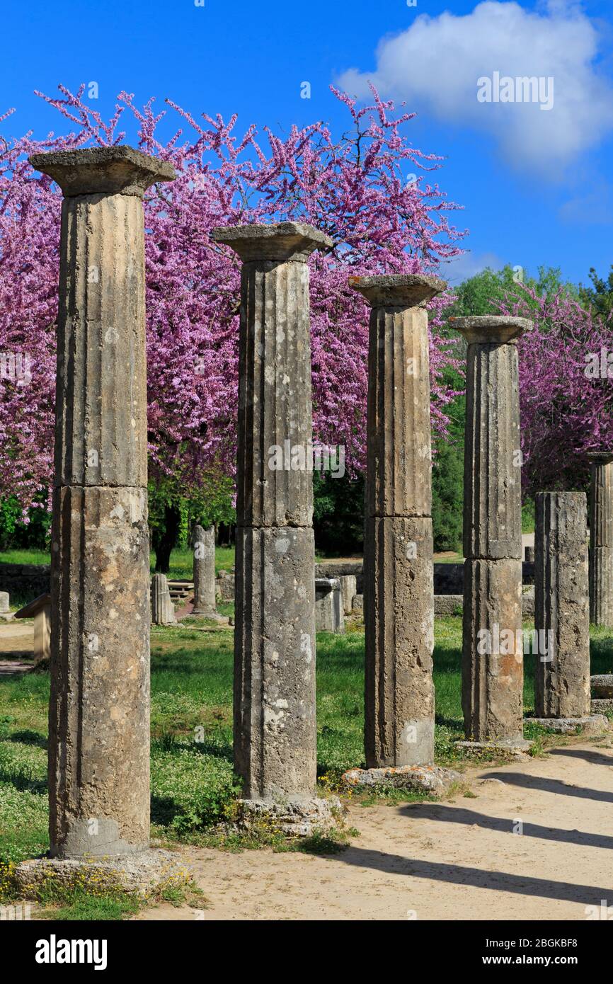 Palaestra at olympia hi-res stock photography and images - Alamy