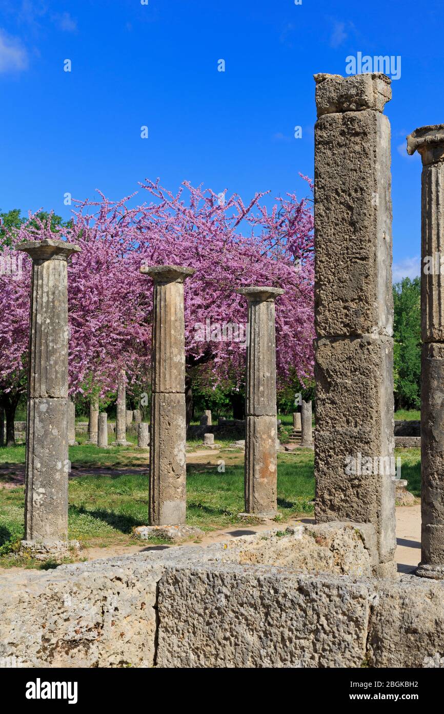 The Palaestra, Ancient Olympia, Peloponnese, Greece, Europe Stock Photo ...