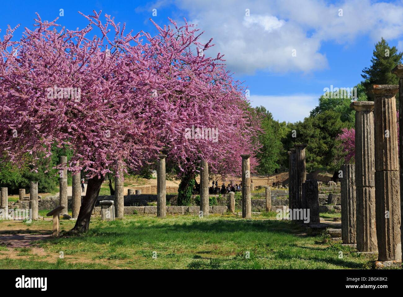 The Palaestra, Ancient Olympia, Peloponnese, Greece, Europe Stock Photo ...