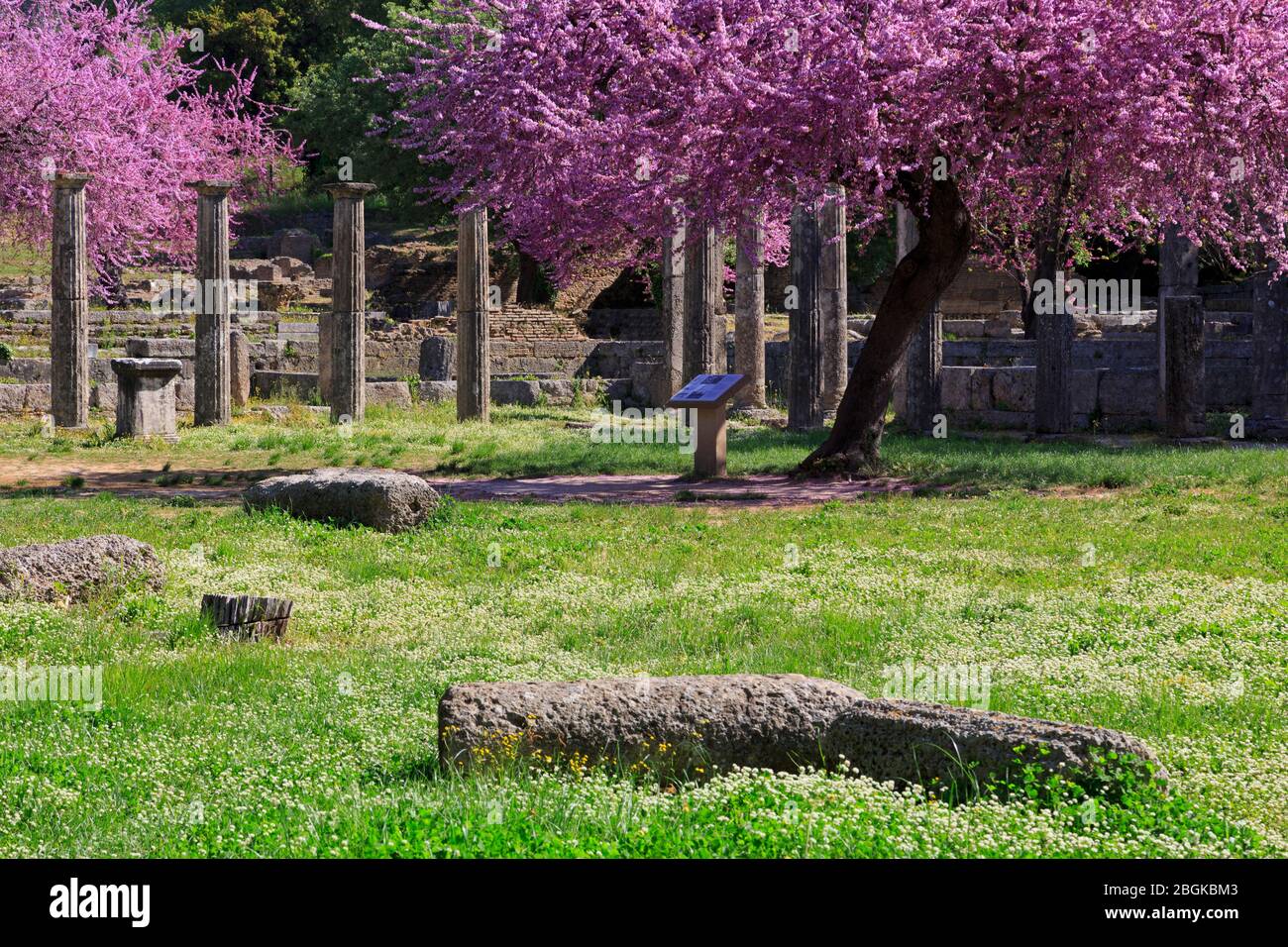 The Palaestra, Ancient Olympia, Peloponnese, Greece, Europe Stock Photo ...