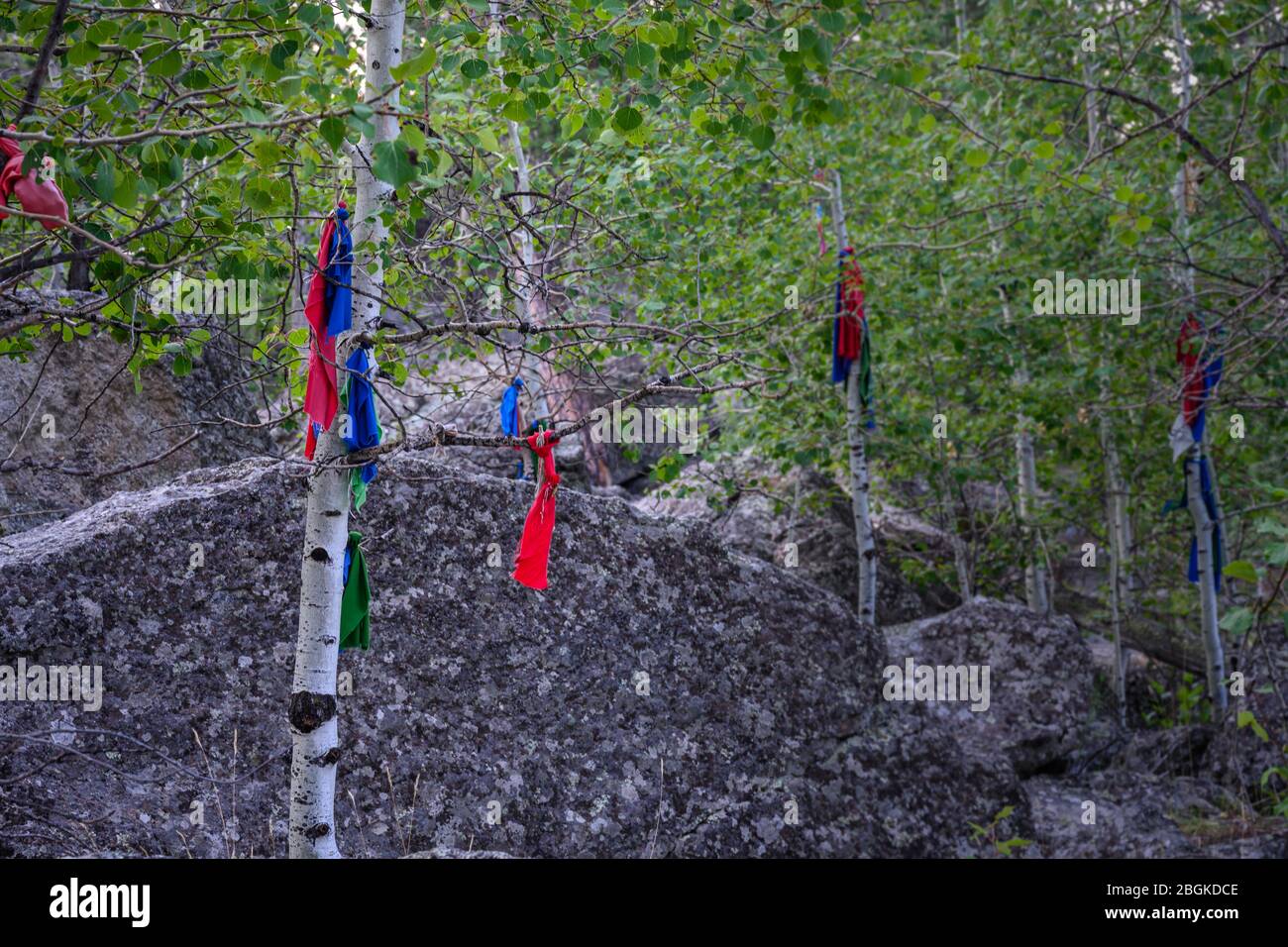 Blue and Red Prayer Flags in Trees Stock Photo - Alamy