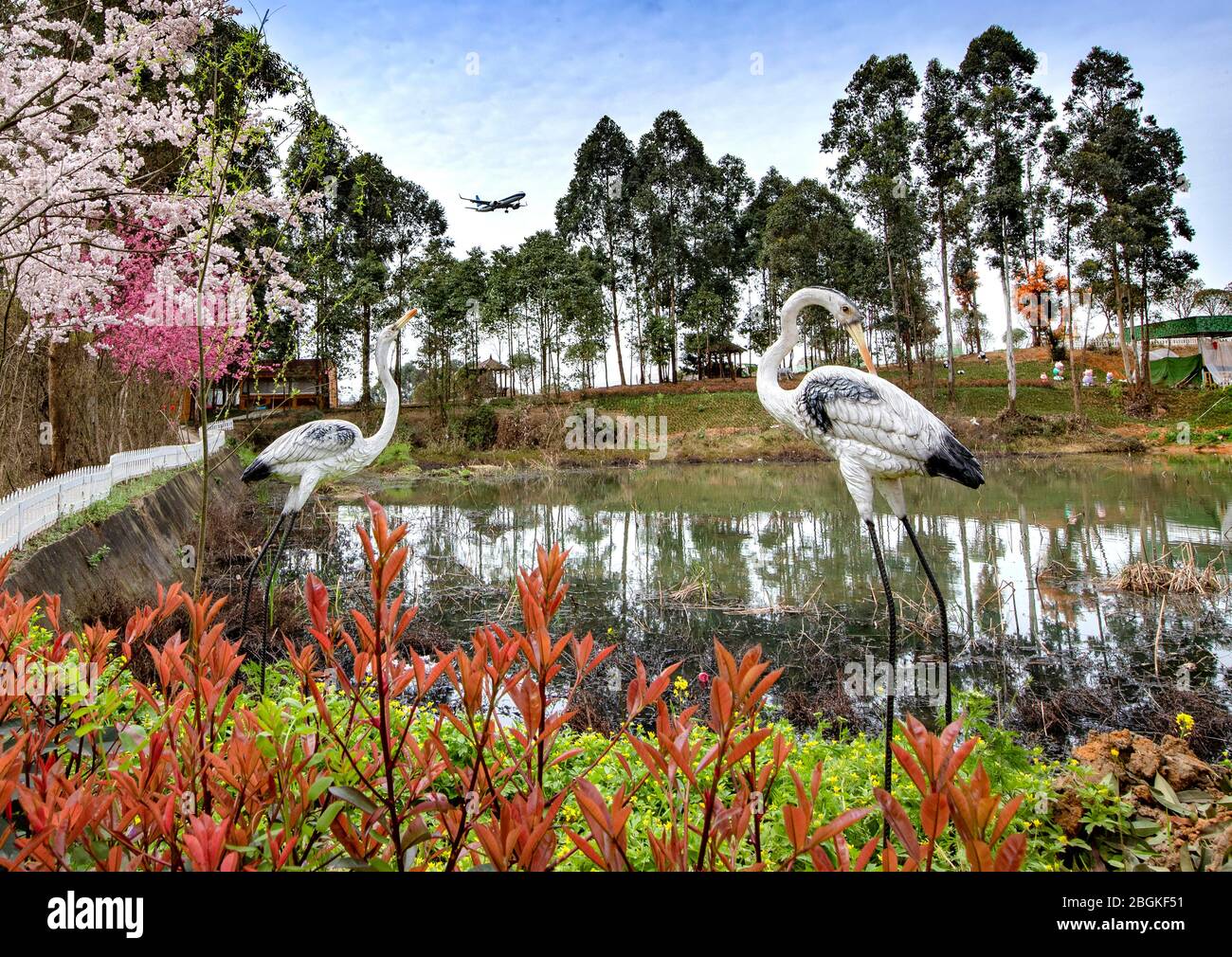 Shuangliu hi-res stock photography and images - Alamy