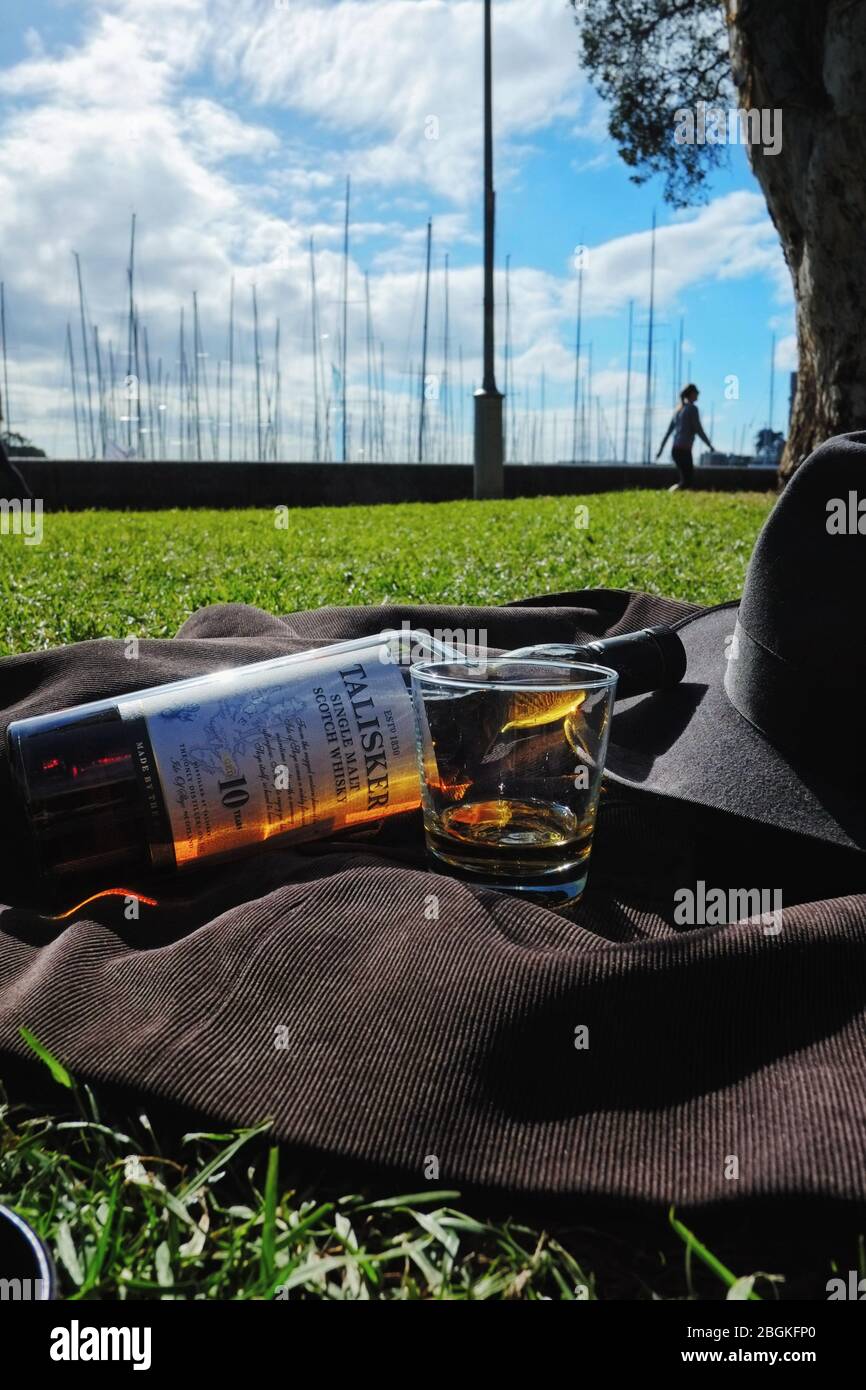 Talisker 10 year single malt scotch whisky photographed in green ...