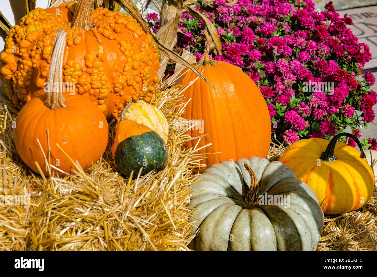 Fall harvest hi-res stock photography and images - Alamy