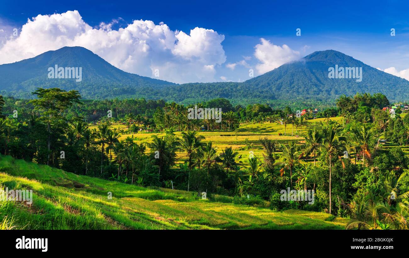 Jatiluwih Rice Terrace (UNESCO World Heritage Site), Bali, Indonesia Stock Photo - Alamy