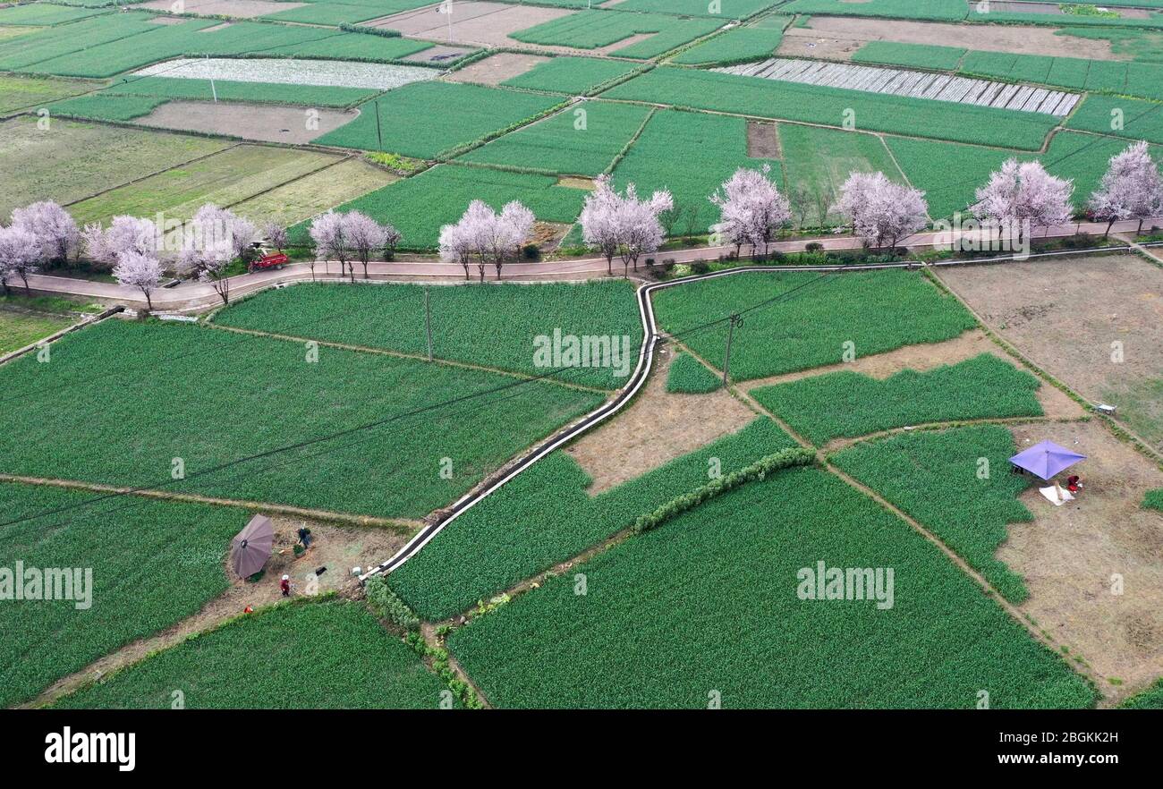 Pengzhou path hi-res stock photography and images - Alamy