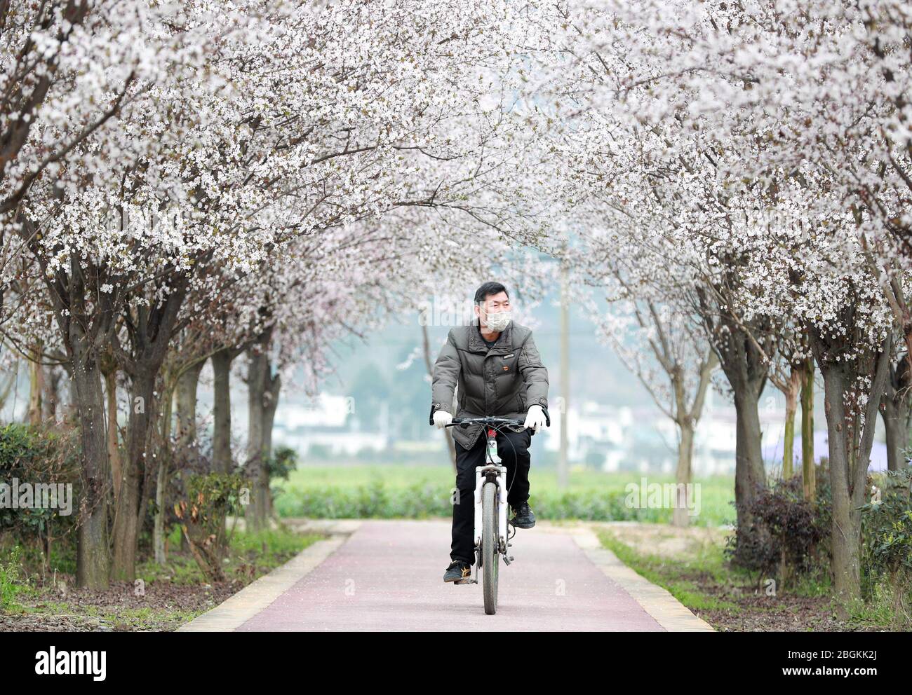 Pengzhou path hi-res stock photography and images - Alamy