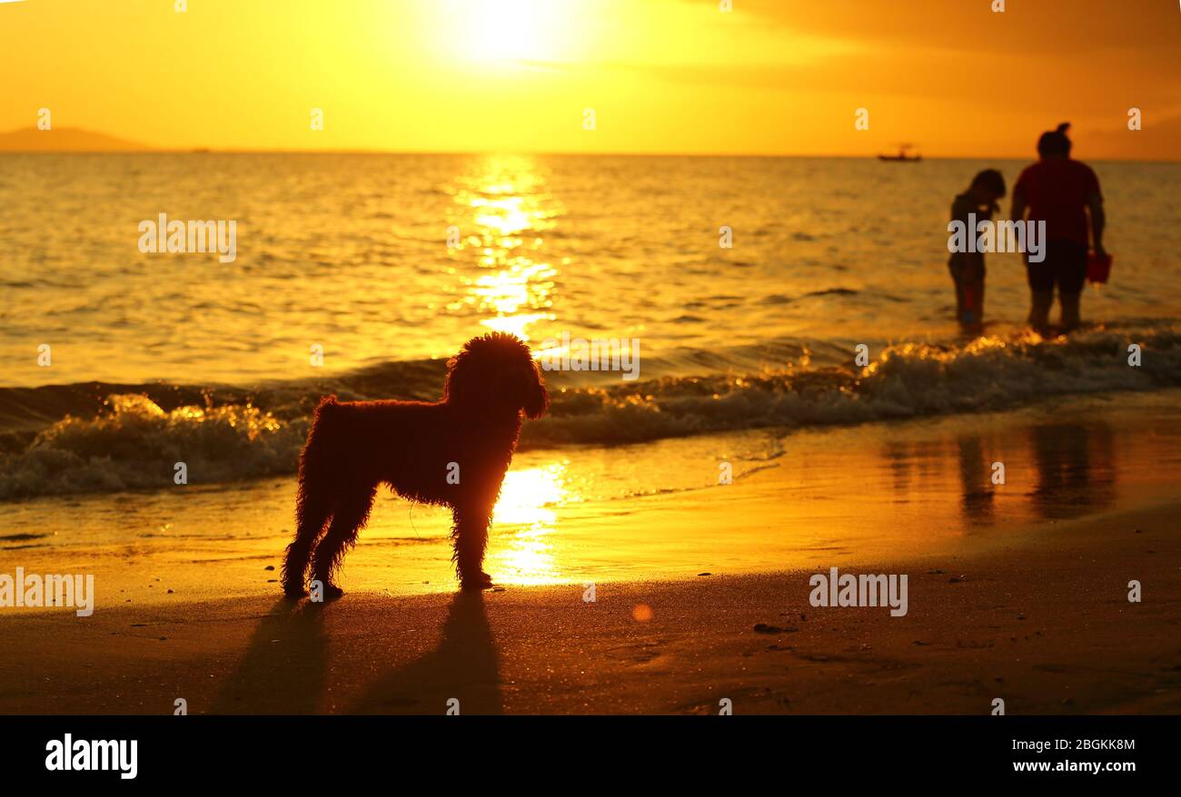 The view of seaside beach at sunset, where tourists enjoy the wonderful ...