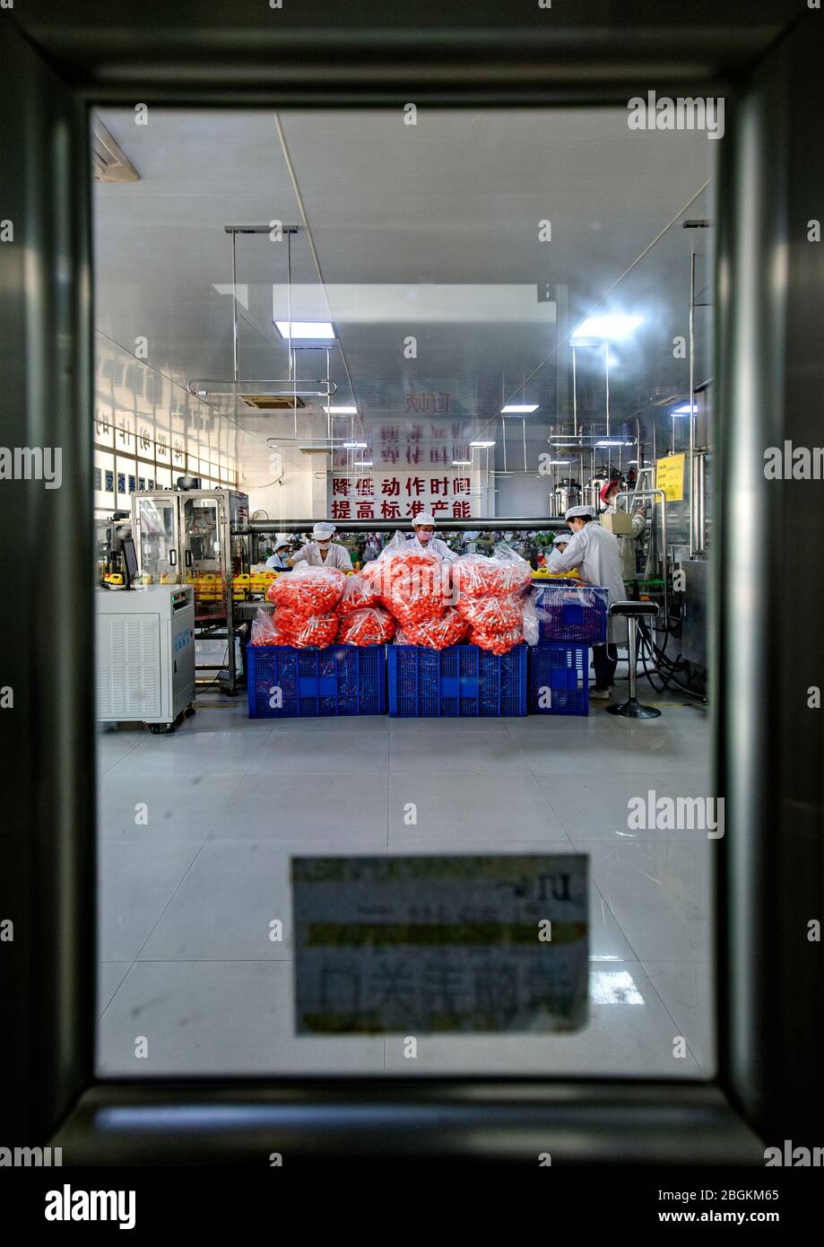 Production bottles workers hi-res stock photography and images - Alamy