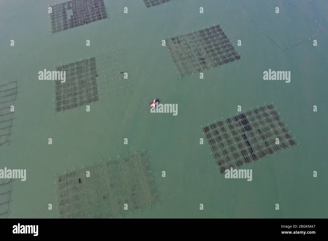 Seaweed farm aerial hi-res stock photography and images - Alamy