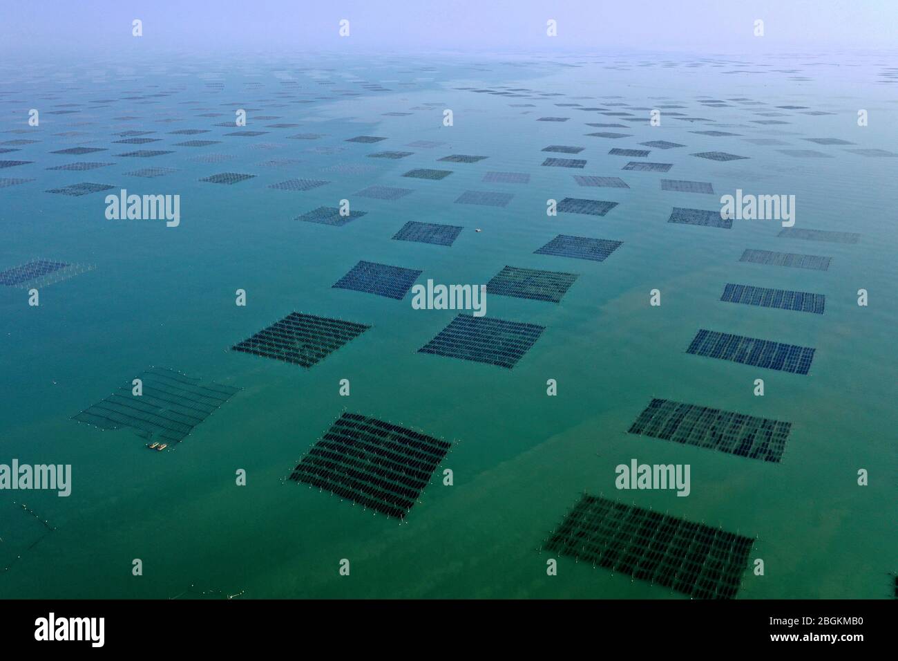 Seaweed farm aerial hi-res stock photography and images - Alamy