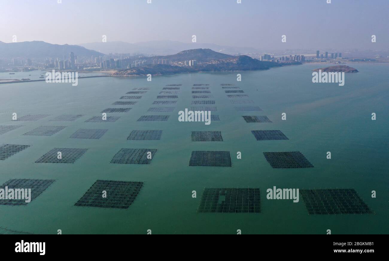 Seaweed farm aerial hi-res stock photography and images - Alamy