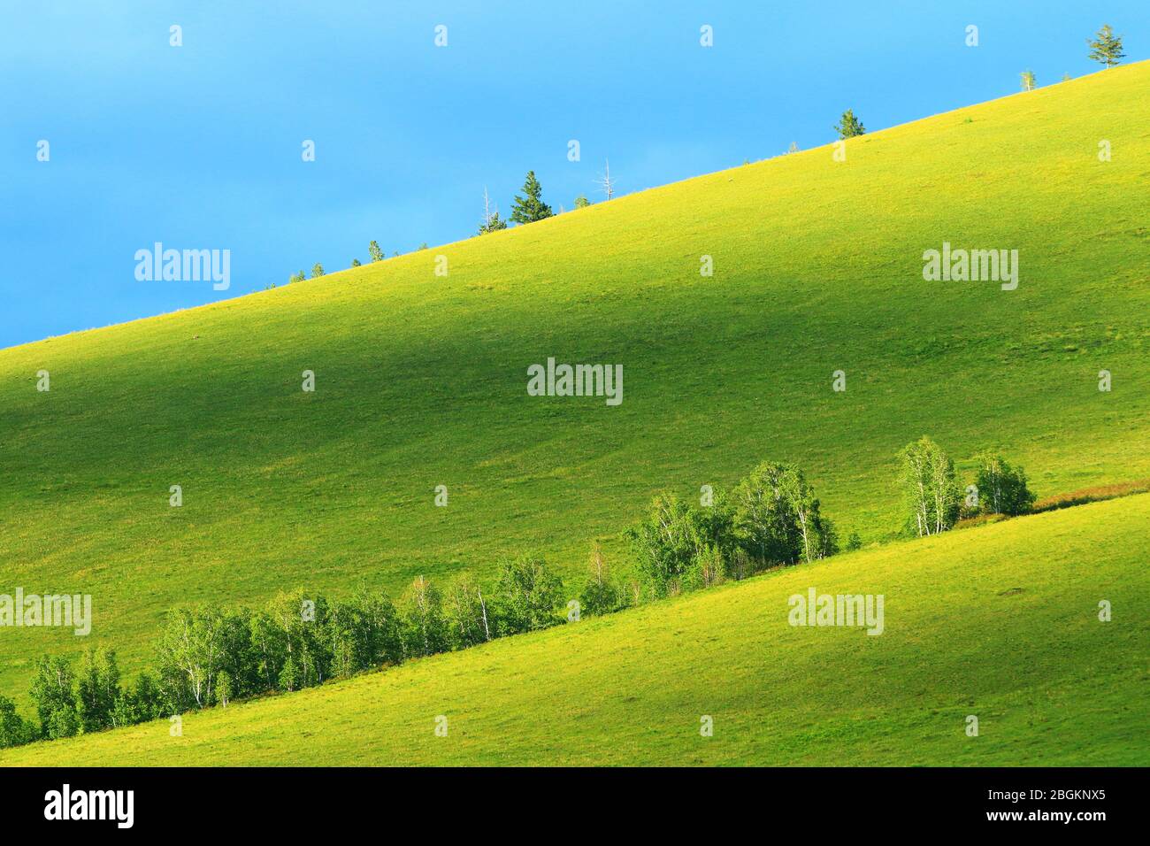 --File--View of the green grassland of Hulunbuir Prairie in Hulunbuir ...