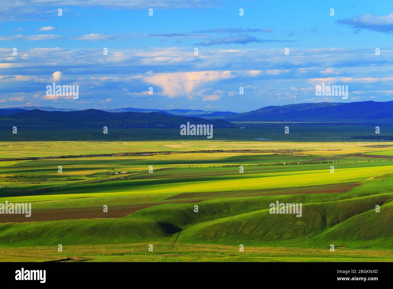 --File--View of the green grassland of Hulunbuir Prairie in Hulunbuir ...