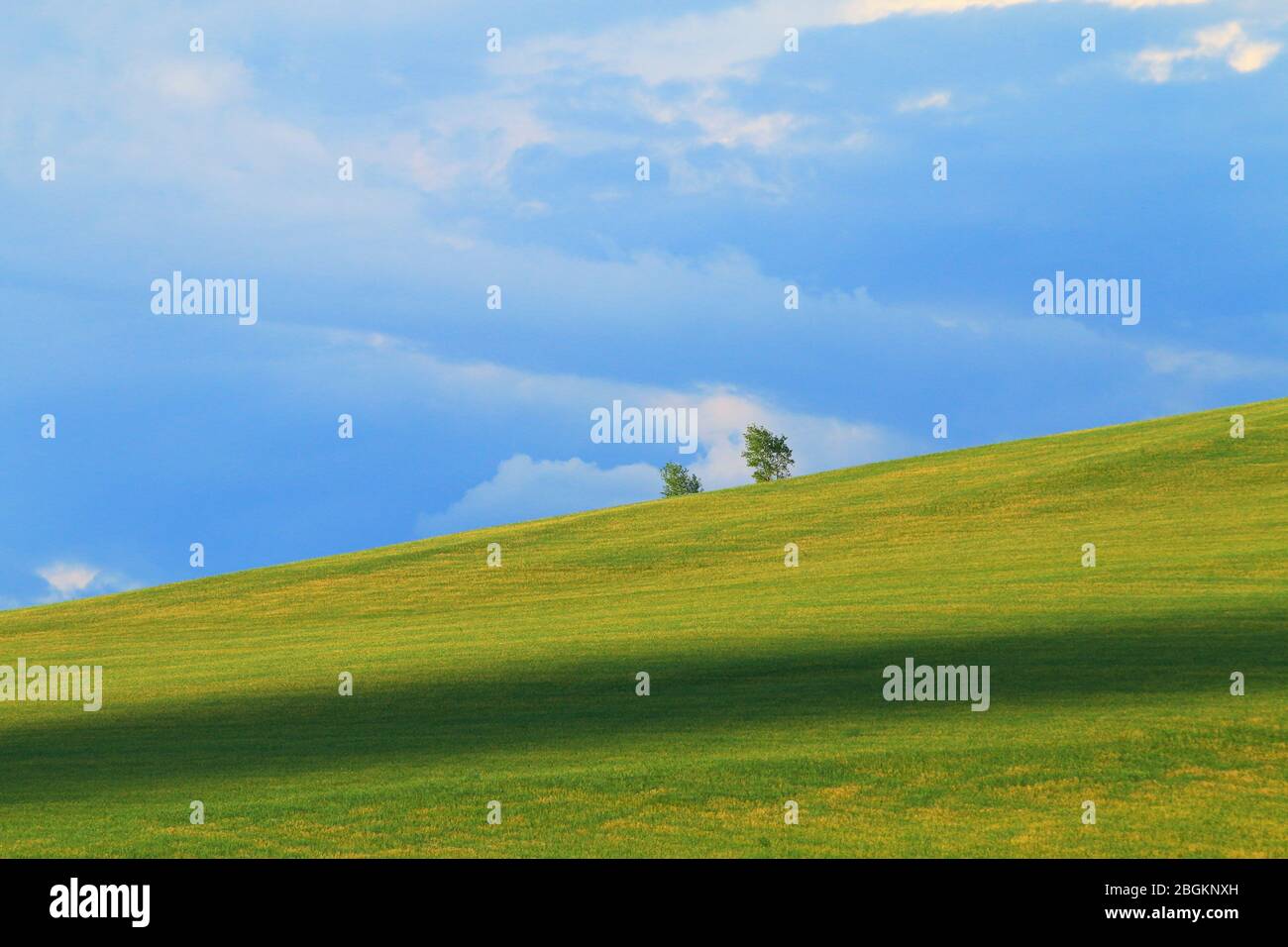 --File--View of the green grassland of Hulunbuir Prairie in Hulunbuir ...